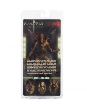 Alien: Resurrection – Alien Warrior Available Now From NECA - The ...